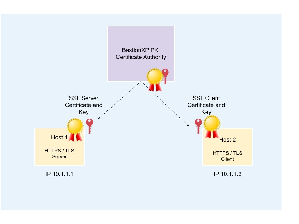 What Is An X 509 Certificate Ssl Authority Vrogue co